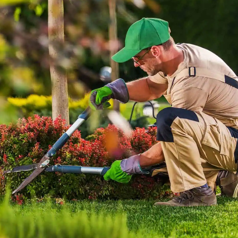 Landscaping Insurance in Arizona | TCI Insurance Agencies
